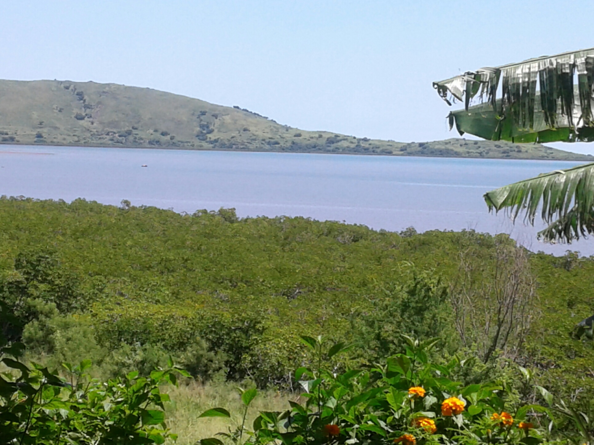 Tuvu Bay Development