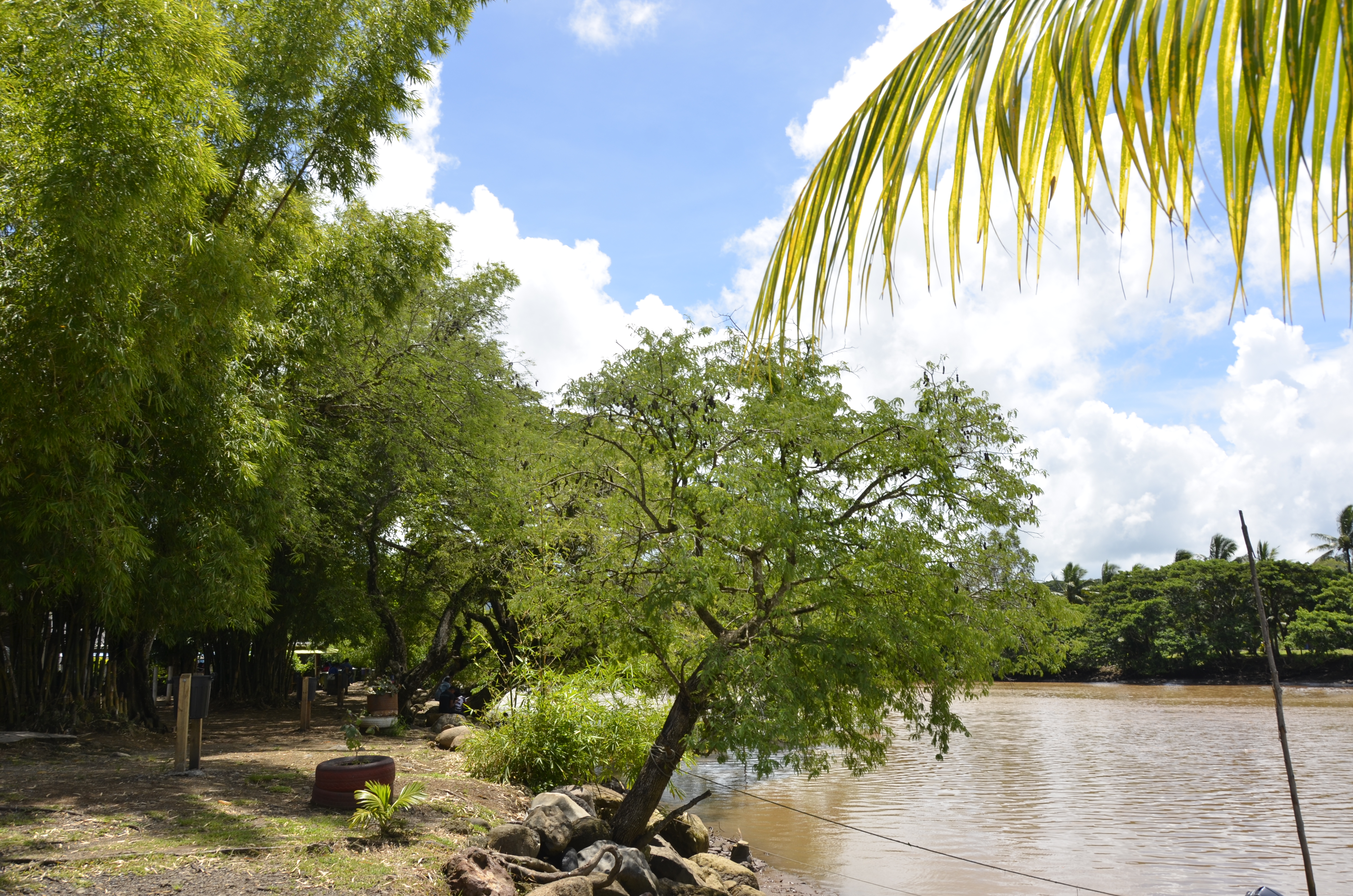 Dredging Project To Mitigate Floods